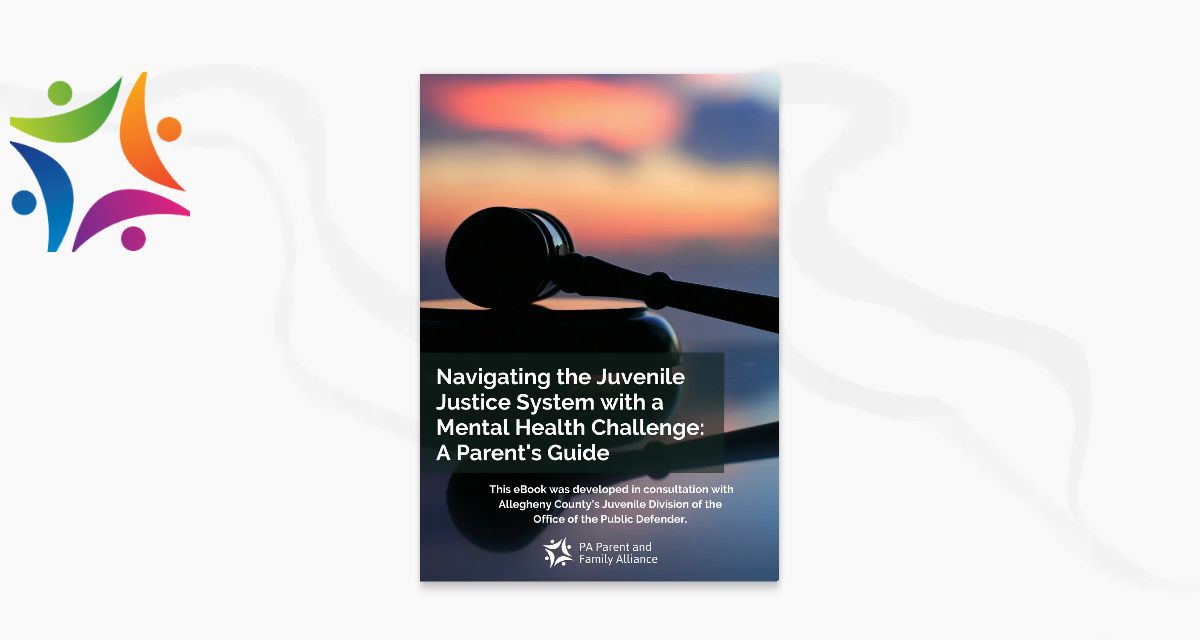 Juvenile Justice eBook